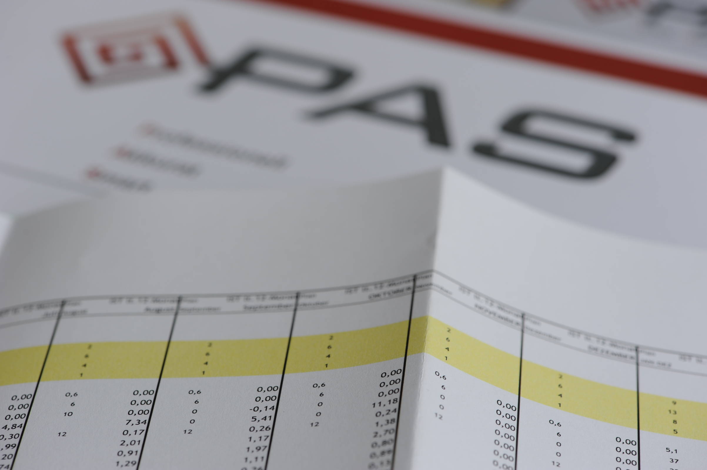 PAS Payroll - Accounting Services GmbH - huddlex - IT Consulting ...